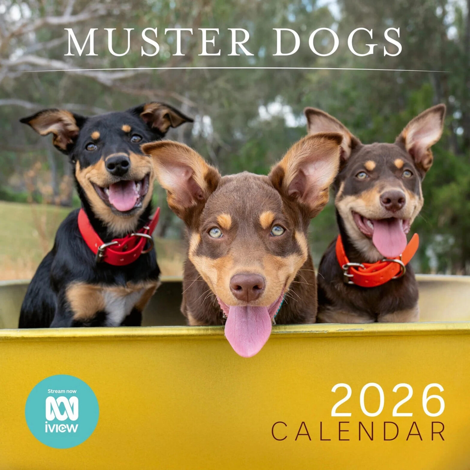 2026 Muster Dogs 12 Month To View MTV 610 x 305mm Square Wall Planner ...
