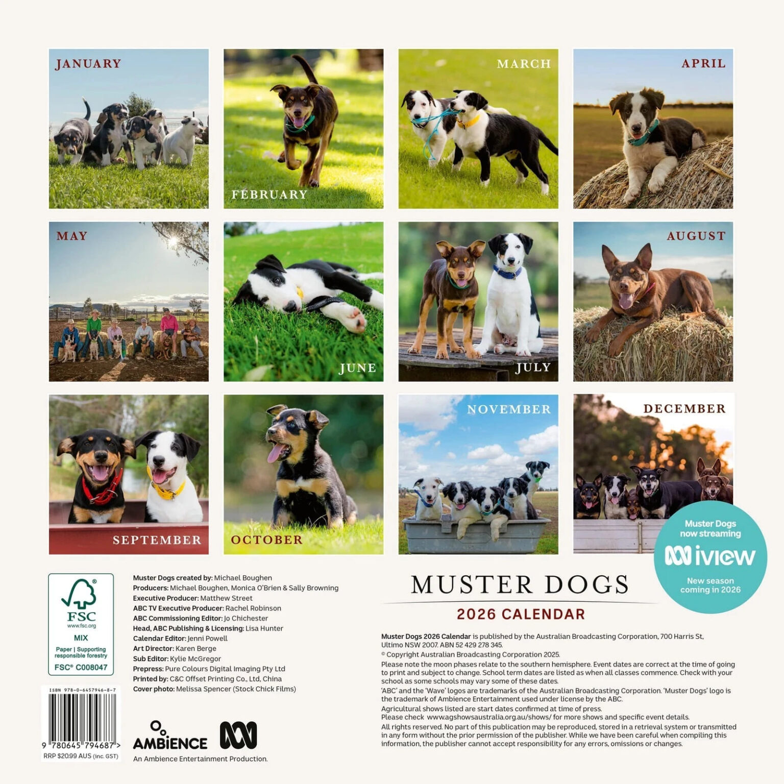 2026 Muster Dogs 12 Month To View MTV 610 x 305mm Square Wall Planner ...